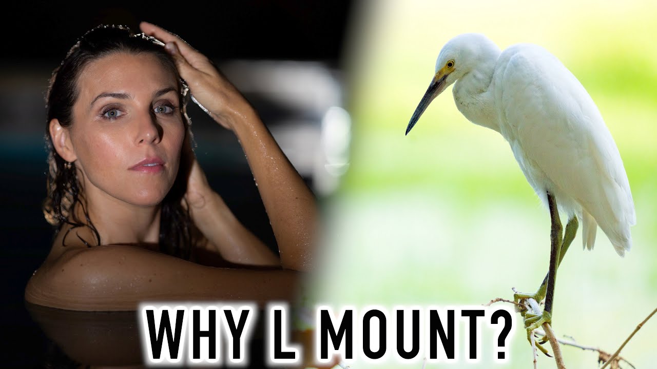 I Recommend the L Mount. This is Why. Featuring Sigma 14mm f/1.4 DG DN ...